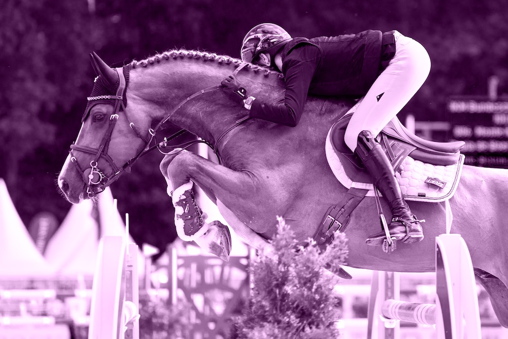 rimondo Rankings - rimondo